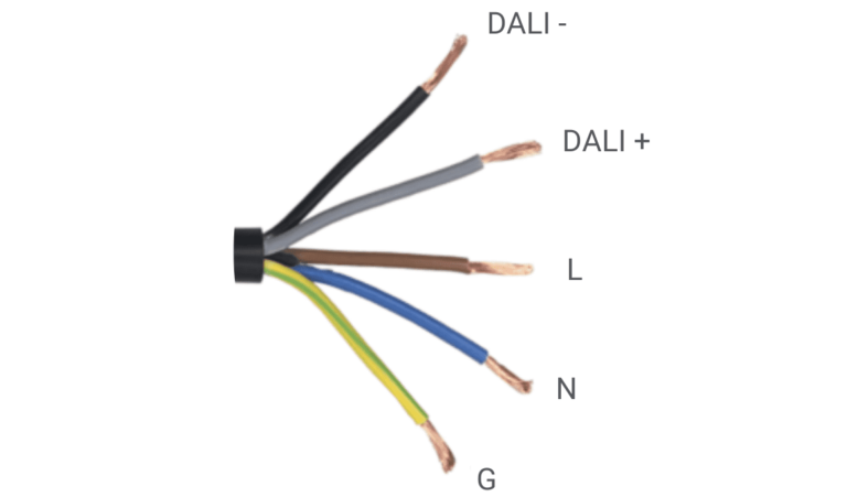 DALI Introduction – LIGMAN
