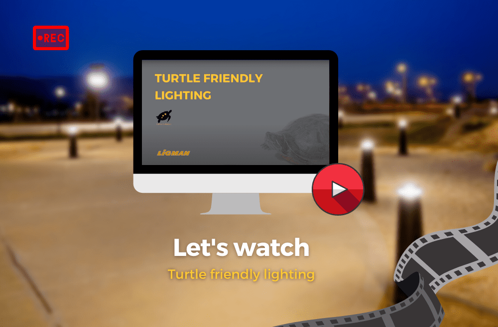 New video – Turtle friendly lighting – LIGMAN